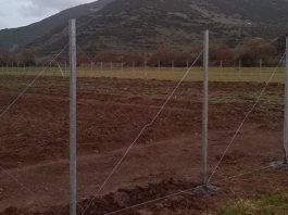 Home - Korinthian News